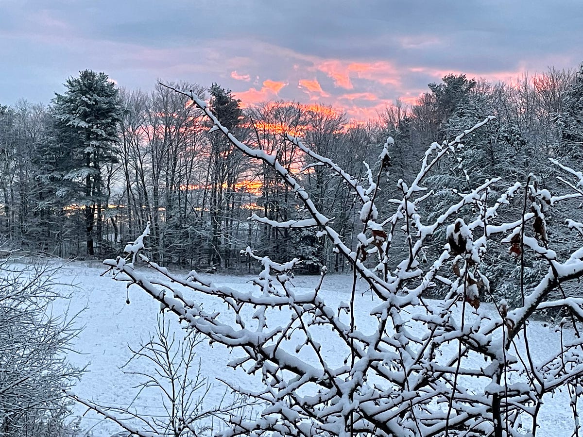 Pink Is the Grace in a Winter Sunrise | by Jean Anne Feldeisen | Crow’s ...
