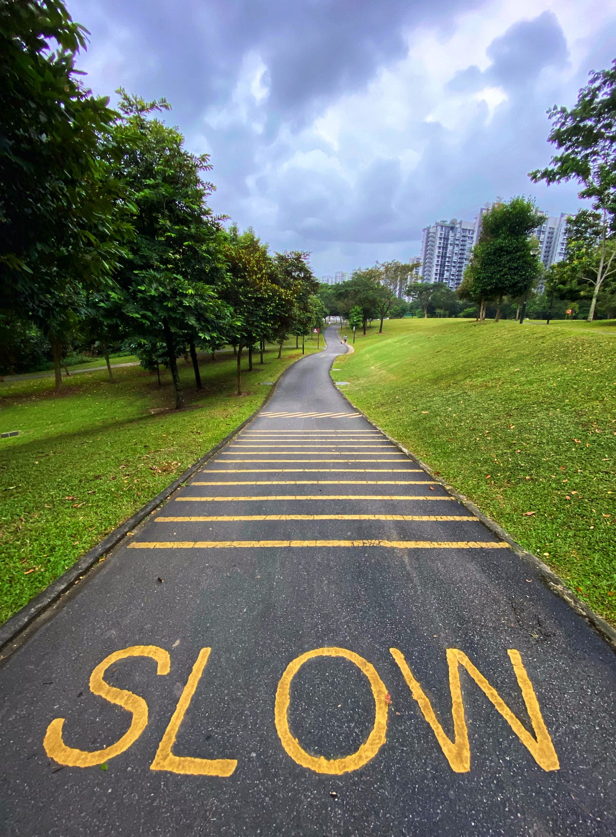 Slow Down In Life. It’s not only the scenery you miss by… | by Quiet ...