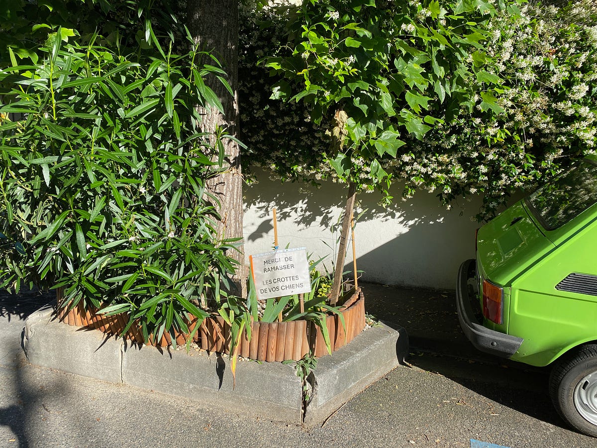 The Insider’s Guide to Dog Poop in Paris | E³ — Entertain Enlighten Empower