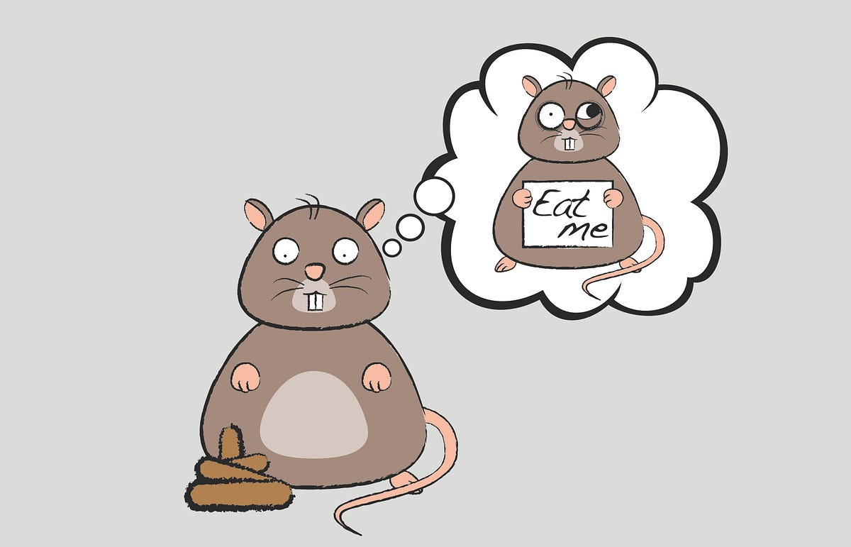 Toxoplasma gondii: How to beat a mind-controlling parasite | by Science ...