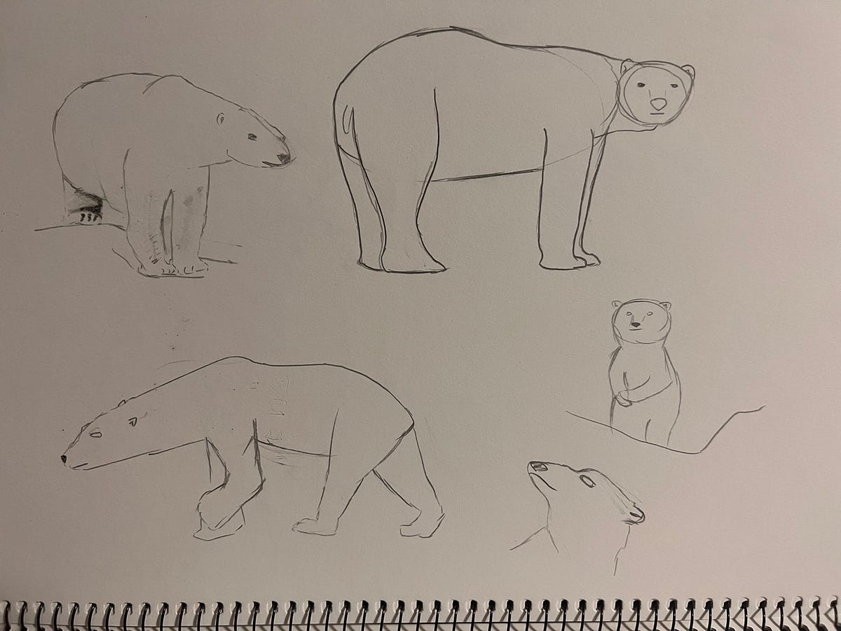 3D Modelling: Progress till Now. For the animal model project, I chose ...