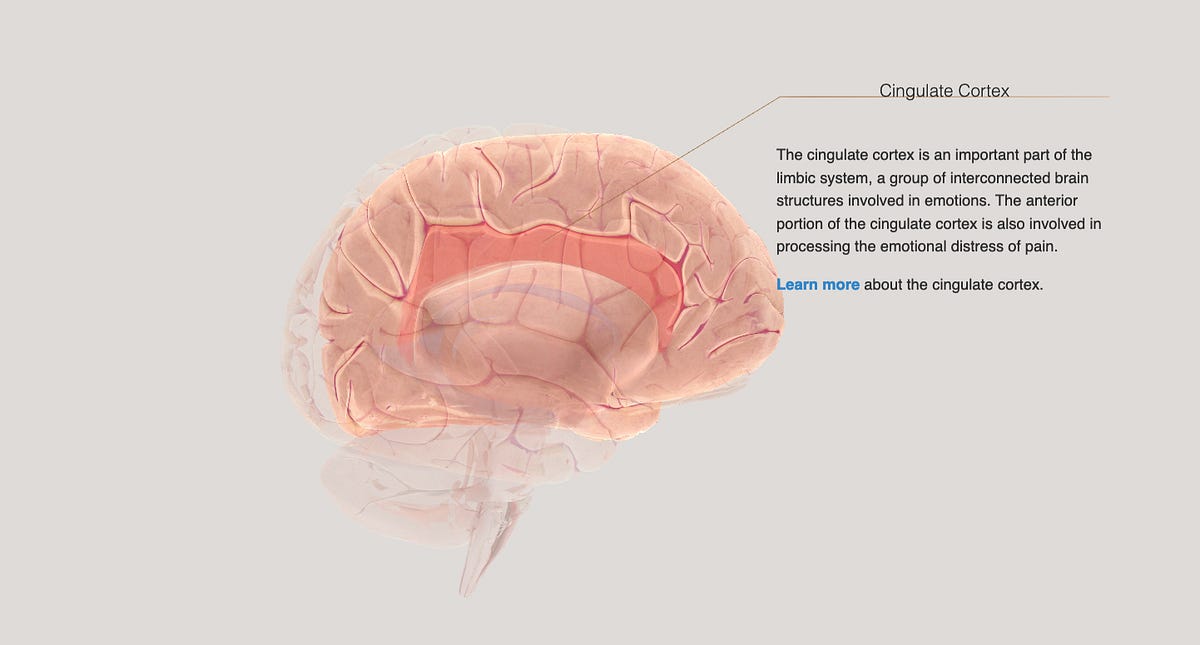 You May Safely Ignore The Voice Inside Your Head | by Adam Gordon | The ...
