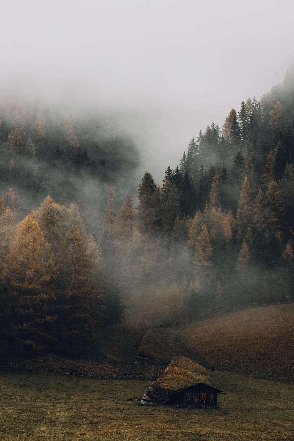 Against All Odds. The Extraordinary Journey of Triumph… | by Chukwuemeka Anthony | Medium