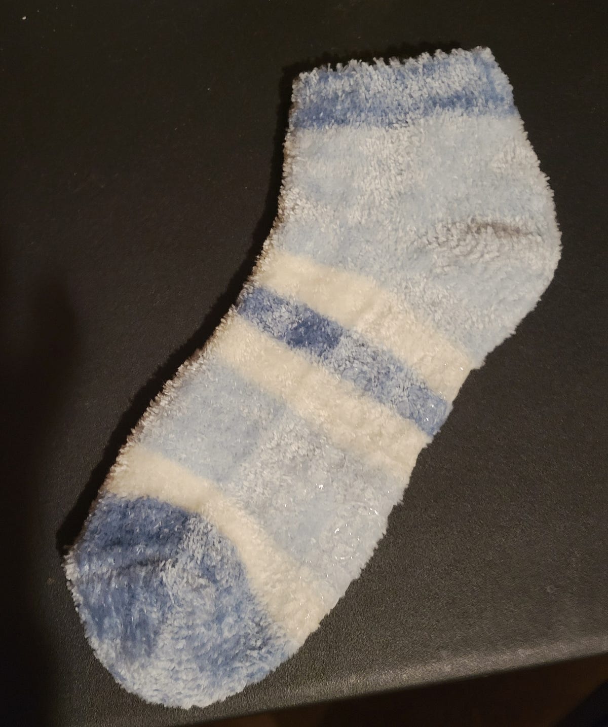 The Case of the Missing Sock. A True Story of One Sock, Two Cats, and ...
