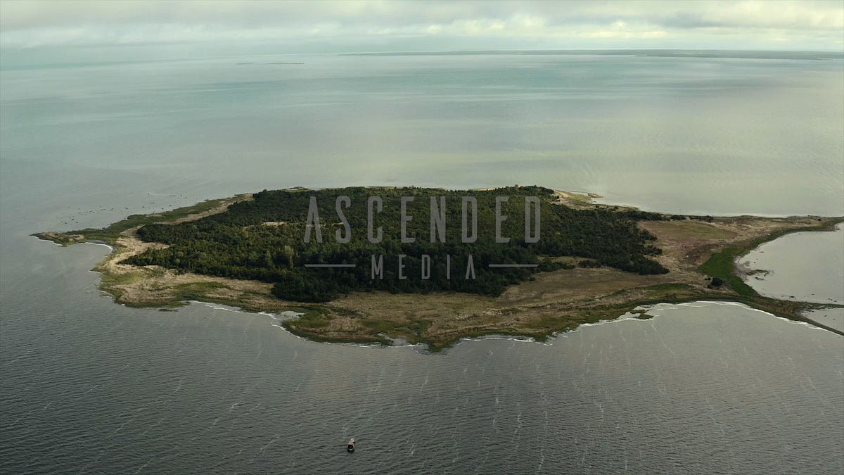 Back to the roots, back to the DAO | by Mars Robertson | Island DAO ...