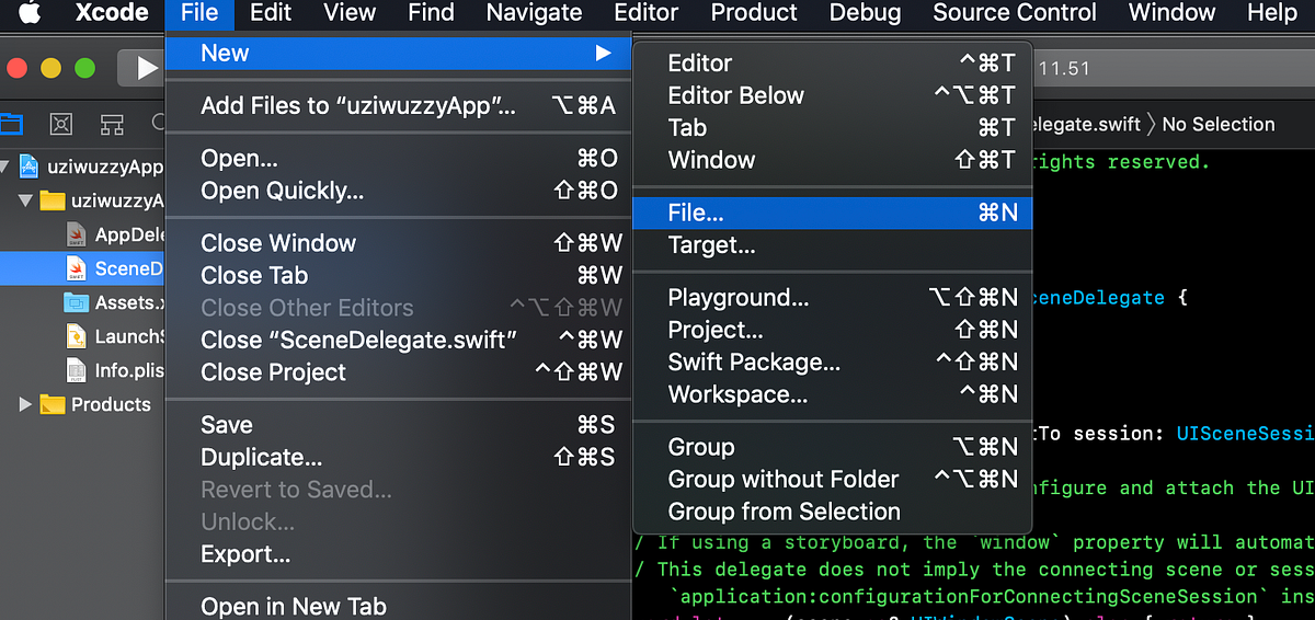 Creating A New Project In Xcode 11 That’s Backward Compatible With Previous IOS Version. | by ...