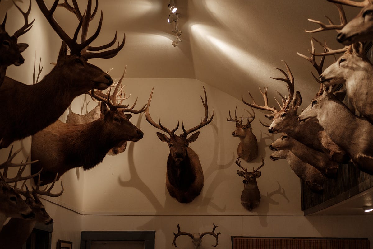 Hunting on The Alibates - Paul DiGiovanni - Medium
