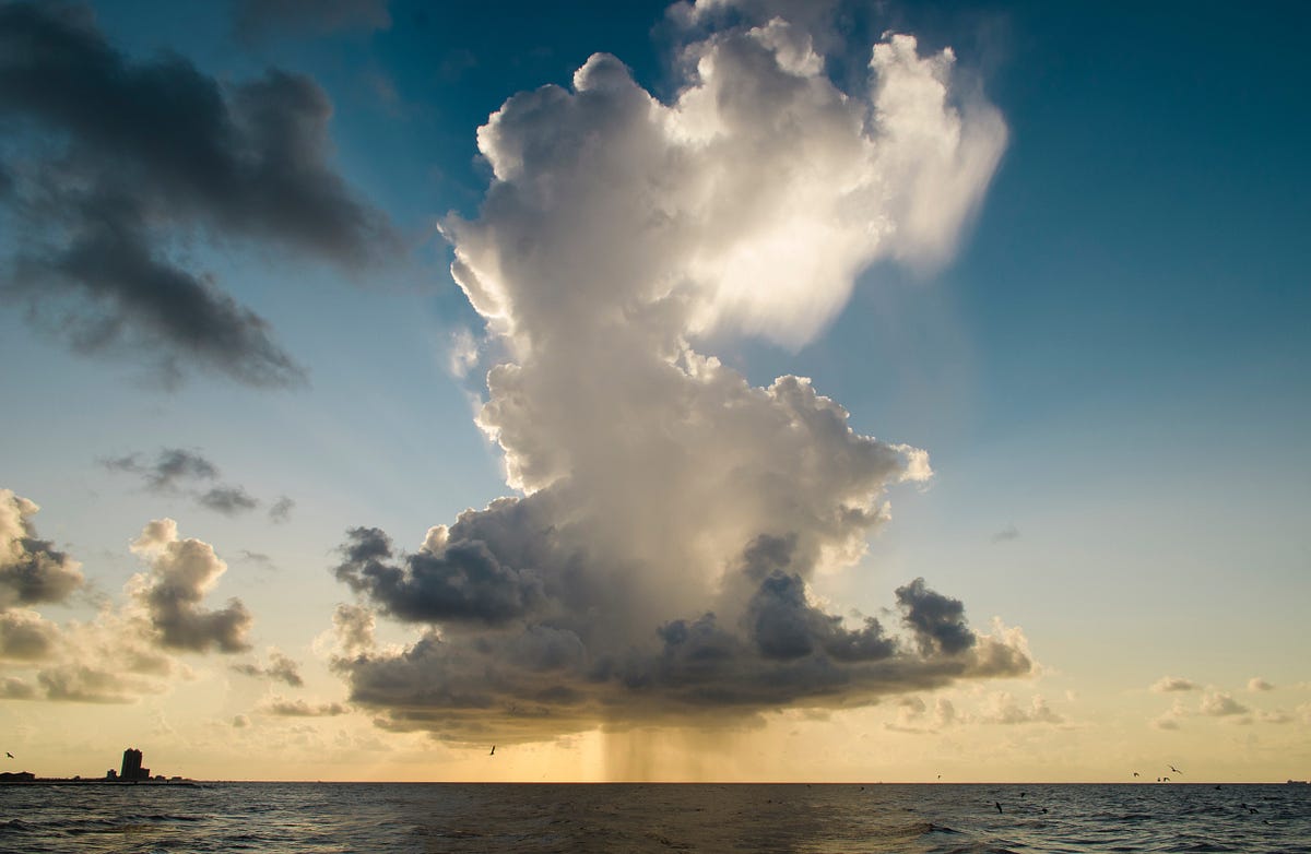 Cultivating Gratitude Day 7. — a Lenten Writing Challenge to Combat ...