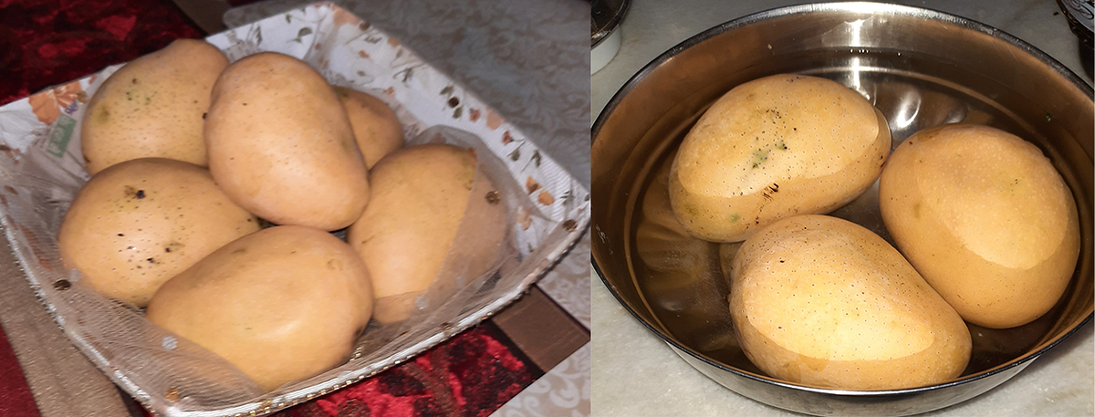 How to reap maximum benefits of Mango! | by Vibha Nigam | Medium