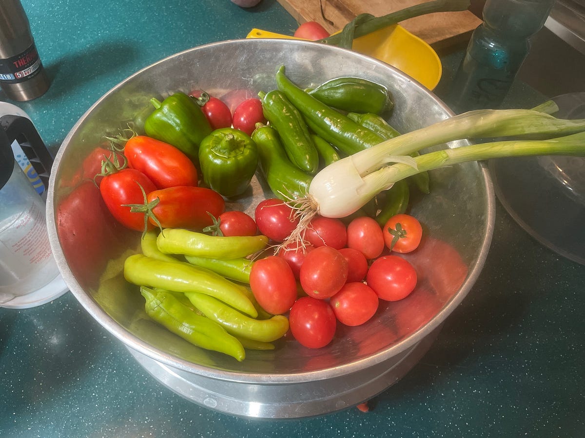 Bringing in the Harvest. Nov-Dec Six Word Photo Story Challenge… | by Shereen Bingham | Six Word ...