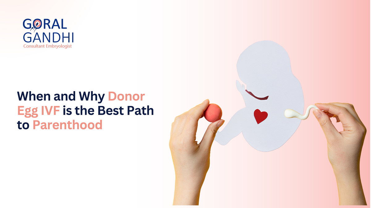 When and Why Donor Egg IVF Becomes the Best Option for Parenthood | by ...
