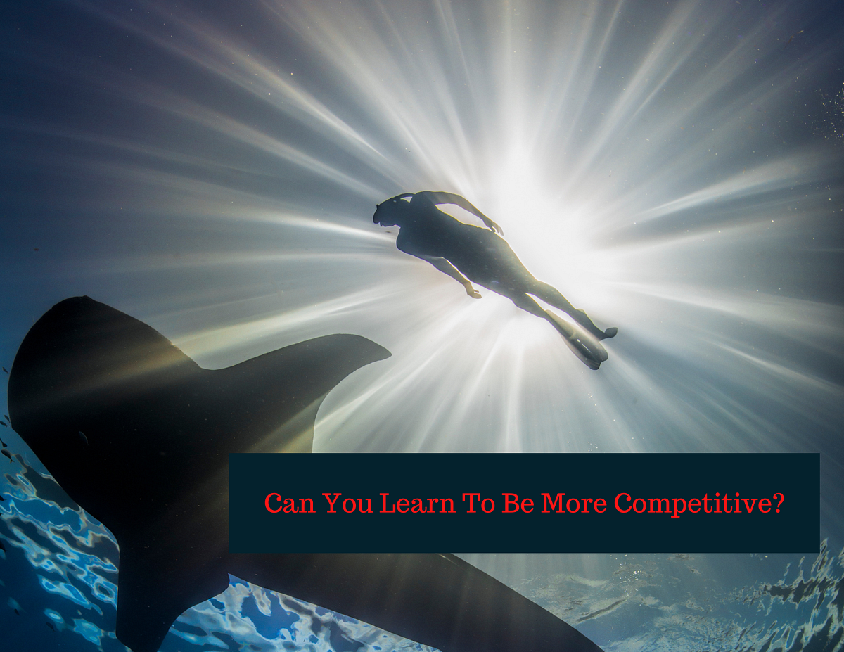 Swimming With The Sharks. Being competitive doesn’t come… | by The ...