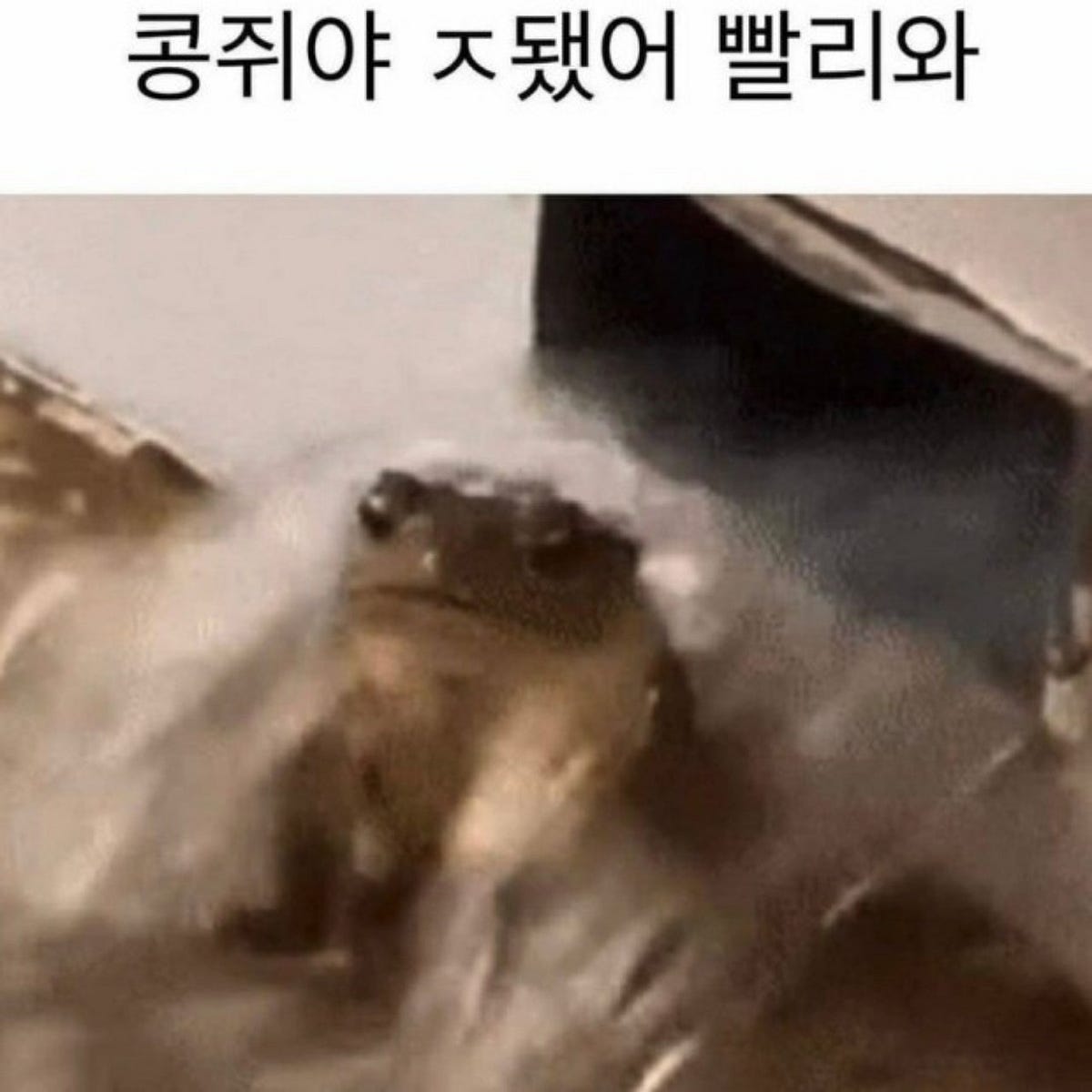 Next.js 13 app router (앱 라우터) 서버사이드 데이터 캐싱 및 다이내믹 메타 데이터 설정 | by Chae ... Next.js 13 app router (앱 라우터) 서버사이드 데이터 캐싱 및 다이내믹 메타 데이터 설정 | by Chae ...