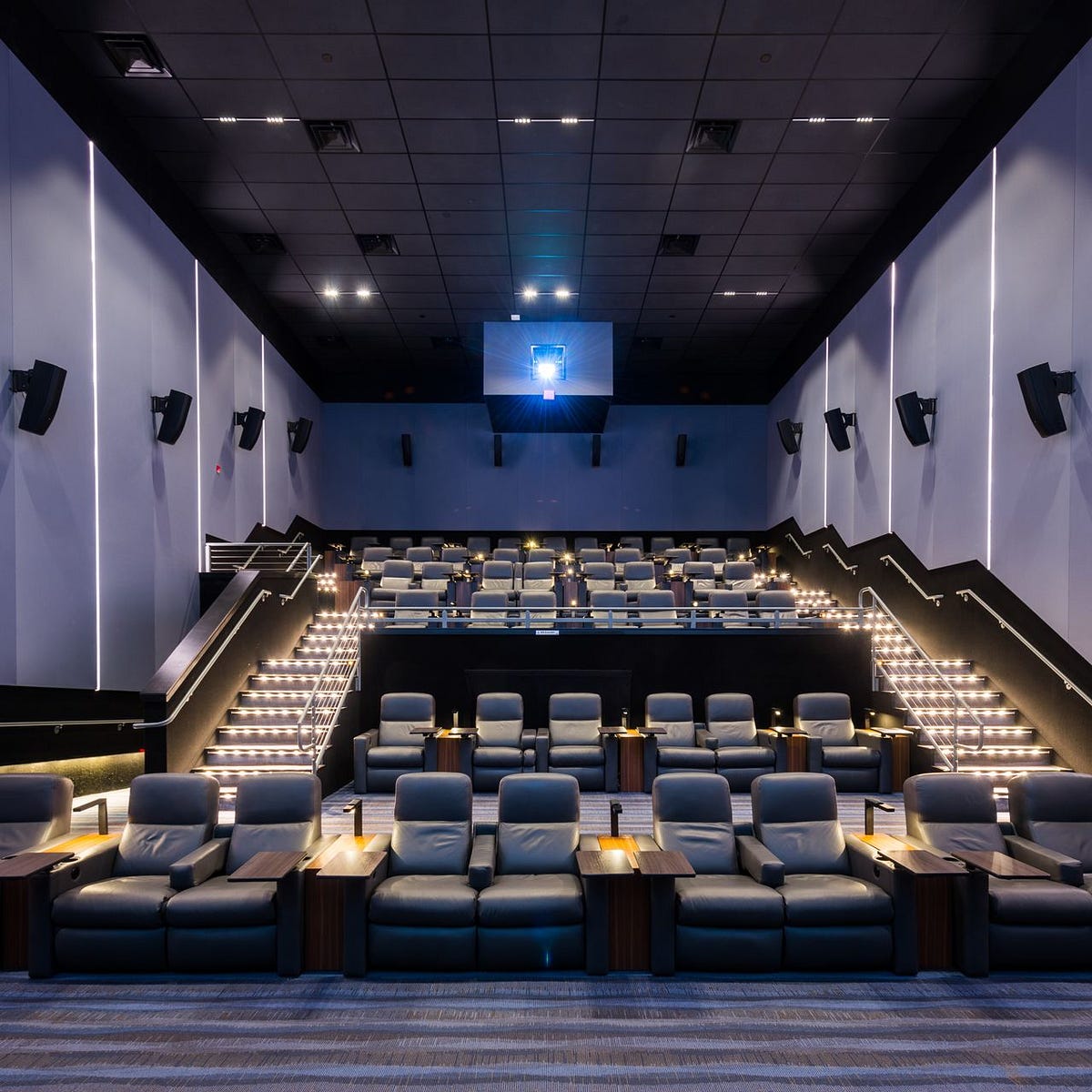 The Theater Going Experiance. From a traditional hobby to a victim to ...