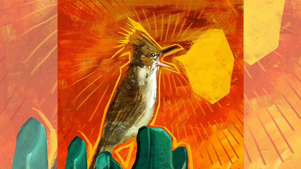 Nihoa Millerbird — A Tropical Tragedy on Hawaii | by Slugs & Kisses ...