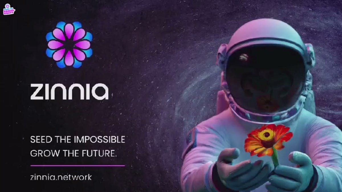 Zinnia Network Terminali. Zinna terminali, RPC protokolünü… | by Kanal ...