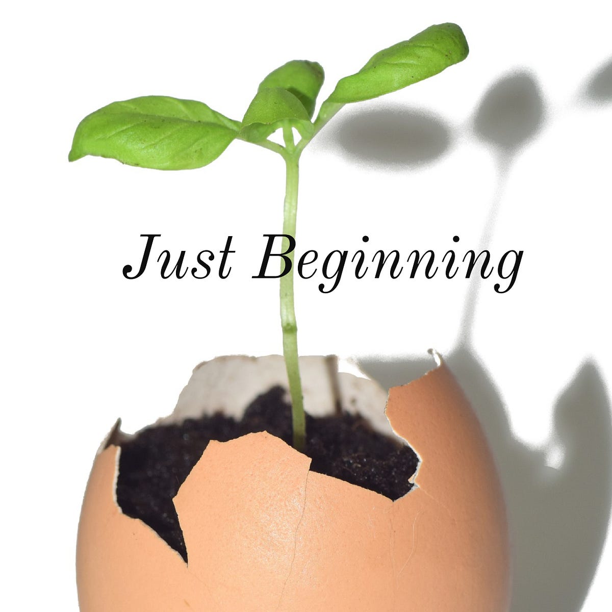 Just the Beginning. This is just the beginning of me on… | by Mark ...