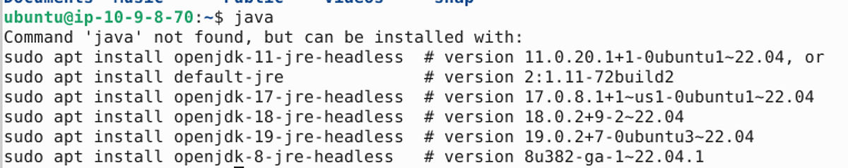 Install Java on Ubuntu Running on AWS | by Teri Radichel | Cloud ...