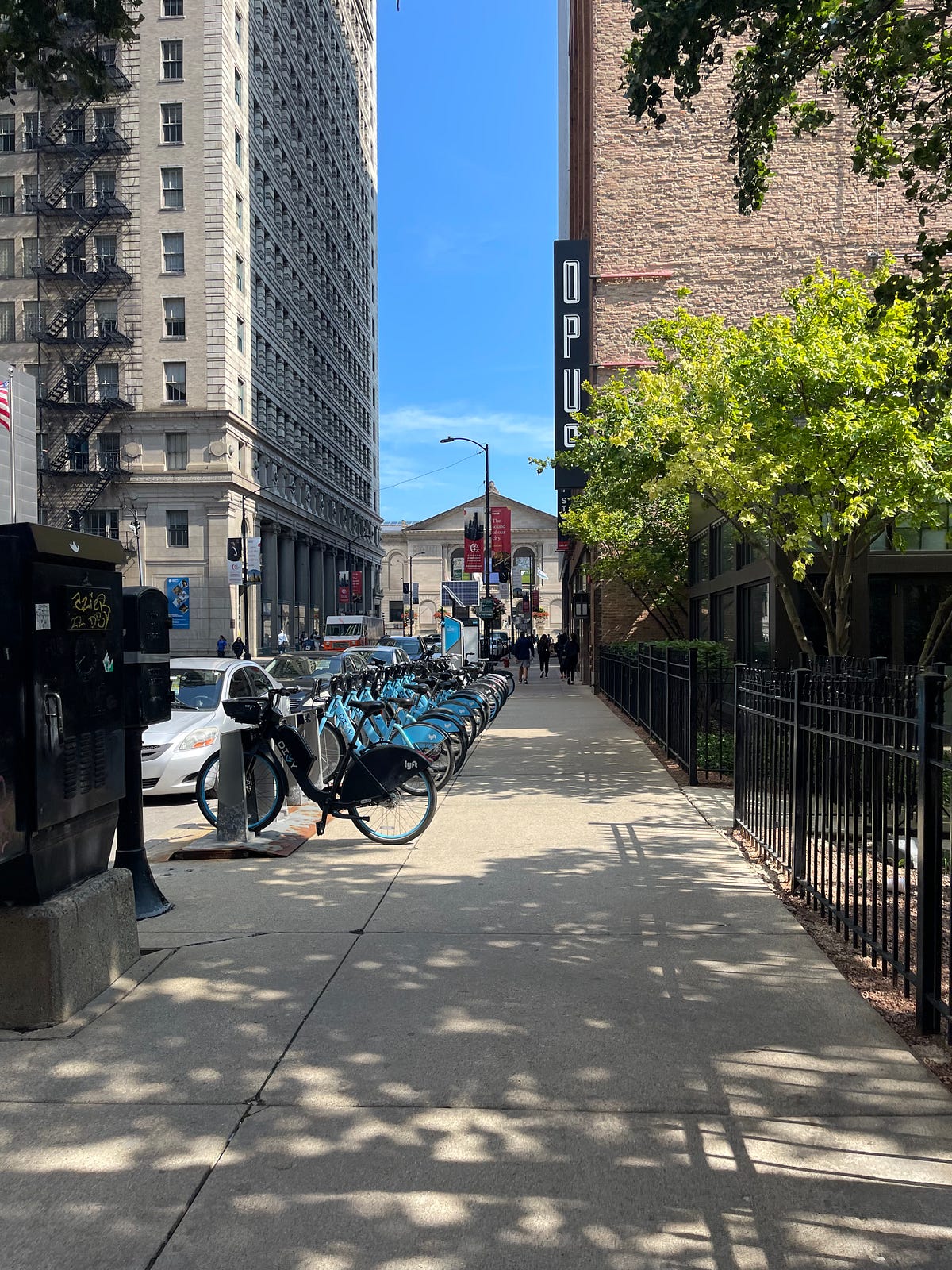 Following Strangers Through the Parks of Chicago. | by Rachel Kim ...