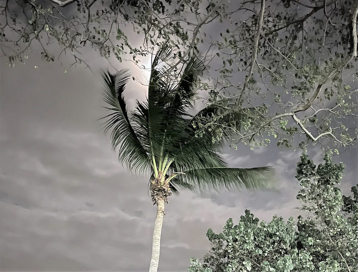 Principal Component Analysis for Dimensionality Reduction in Machine ...