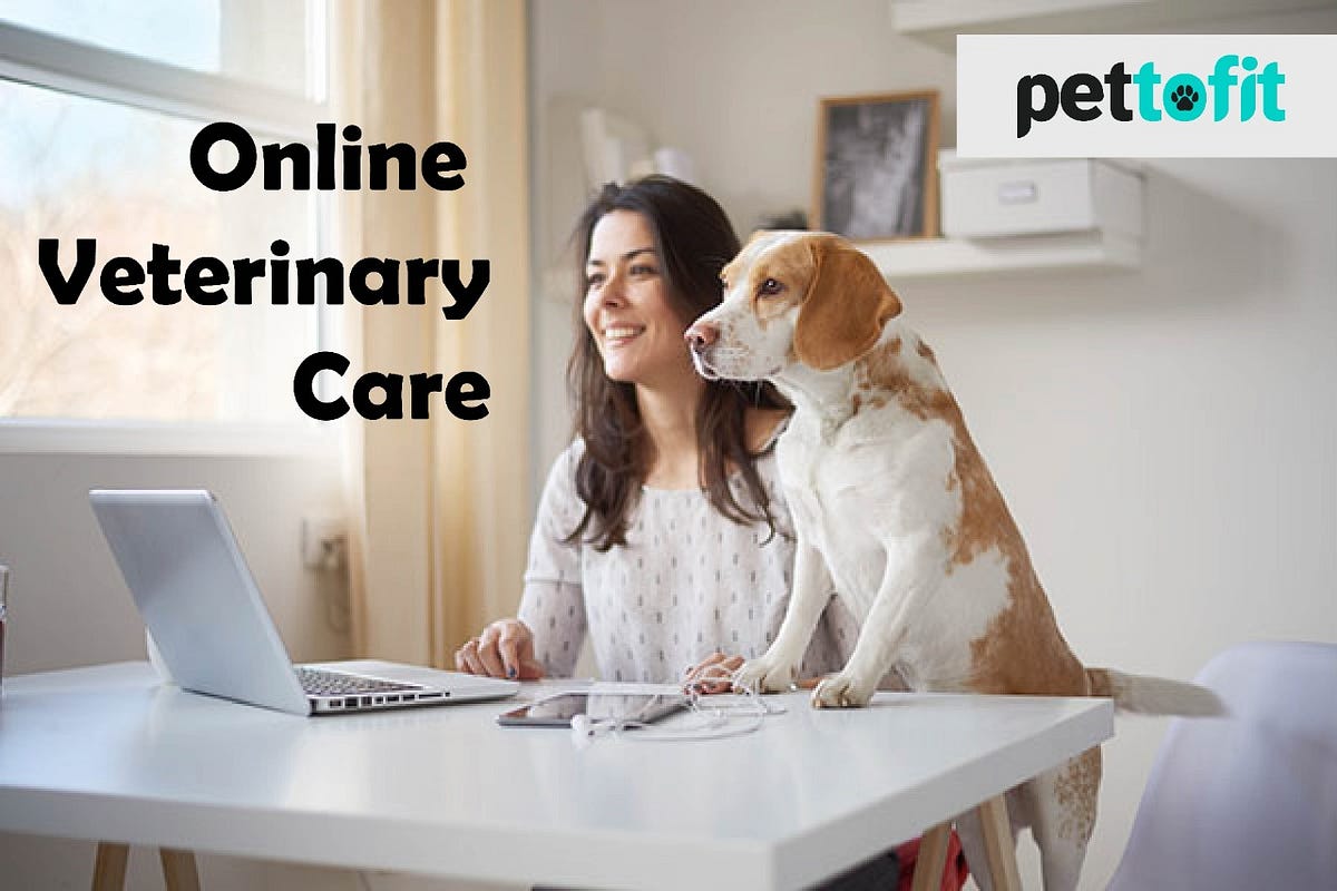 Online Veterinary Care - Pettofit - Medium