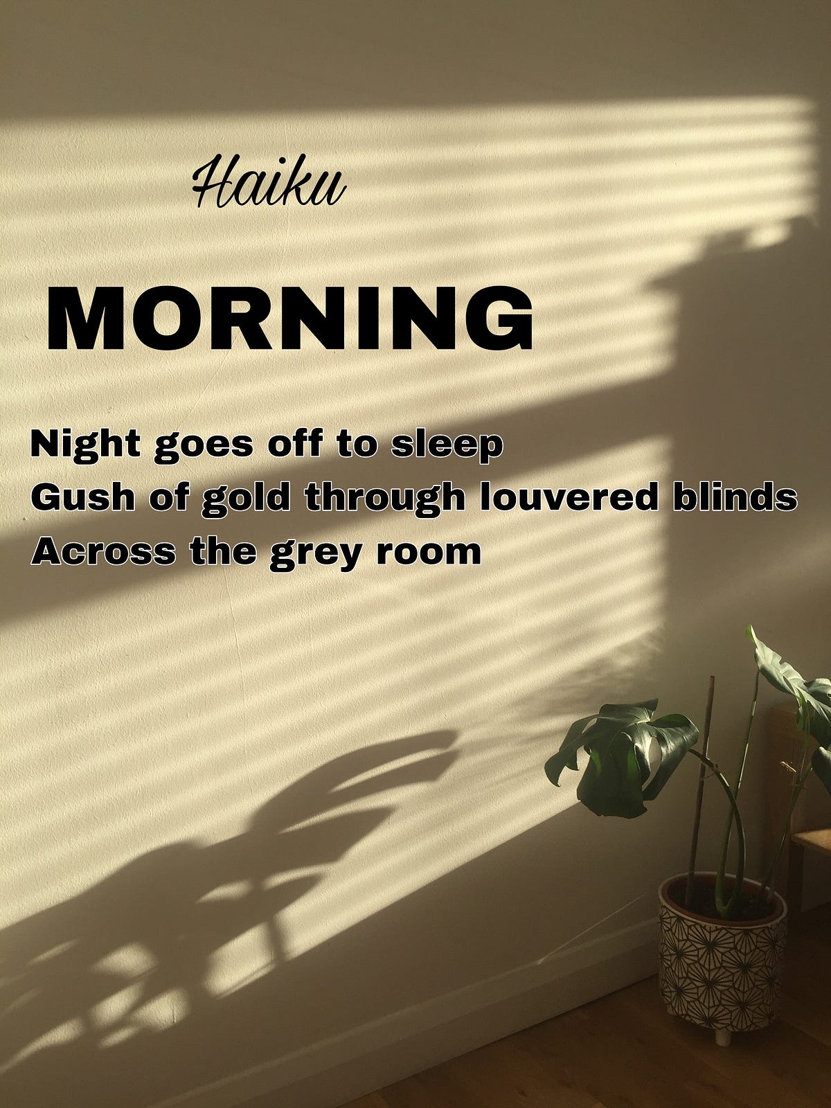 HAIKU Night goes off to sleep Gush of gold through louvered blinds ...