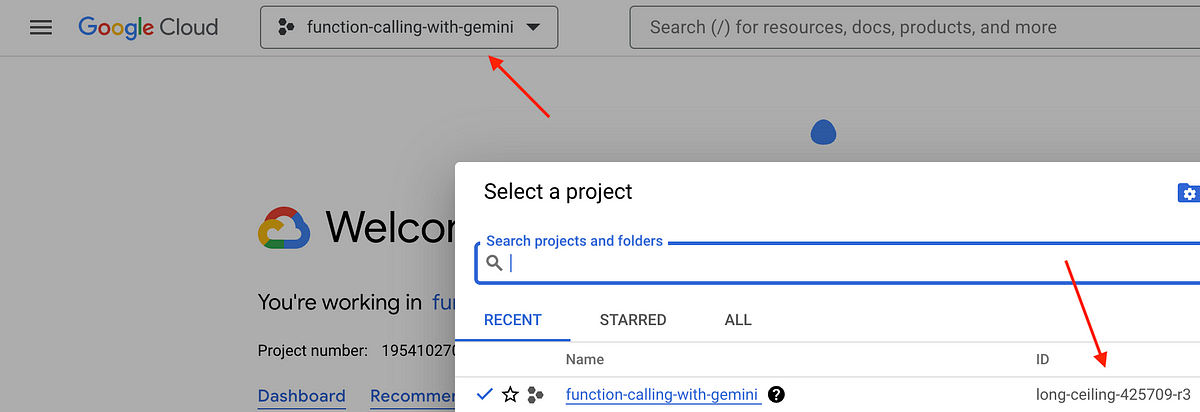Intro To Function Calling With Vertex Ai And Gemini By Artiom Diana Echomotion Ai And Data