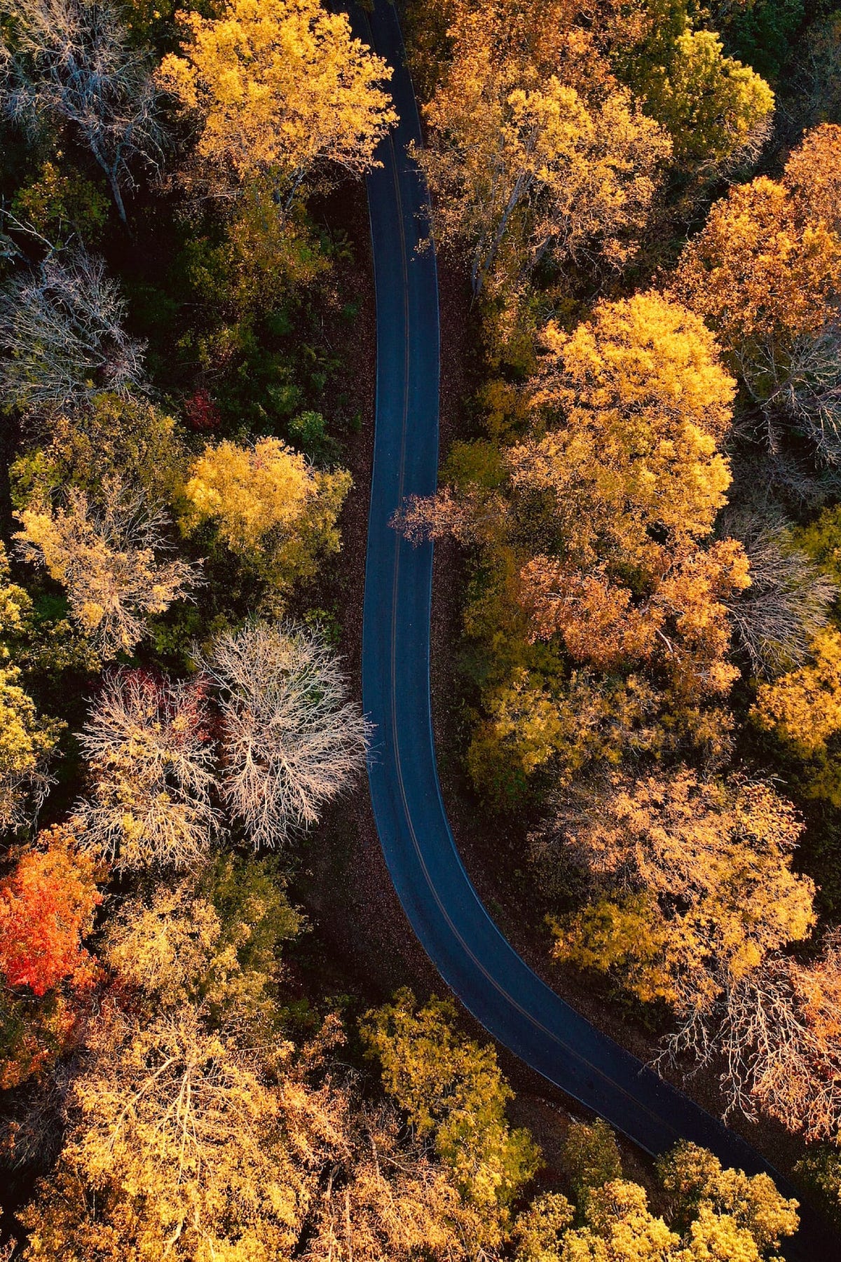 5 Best Virginia Fall Getaways. Photo by Mitchell Kmetz on Unsplash | by ...