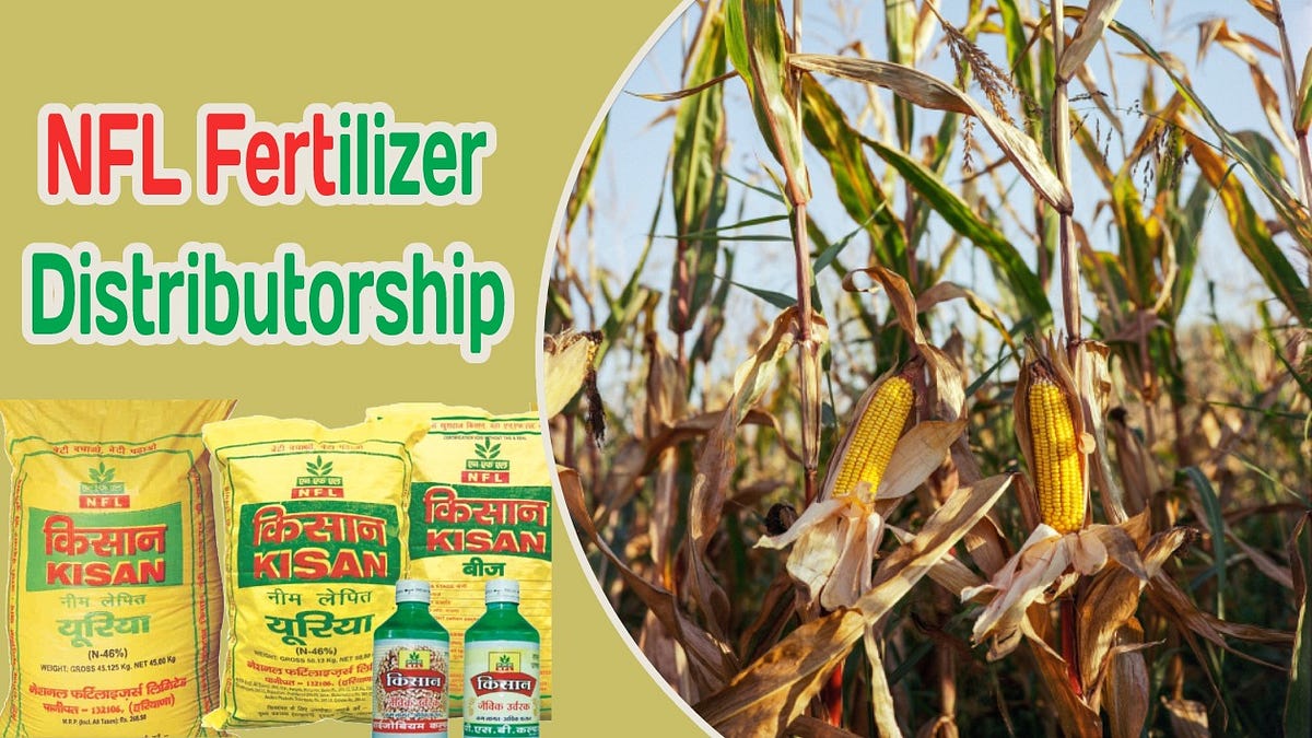 Why is Fertilizer Industry pone of the great for nation building? | by ...
