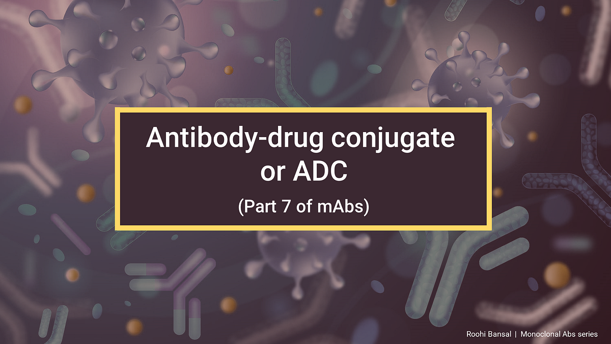 Antibody-drug conjugate or ADC (Part 7- mAbs) | by Roohi Bansal ...