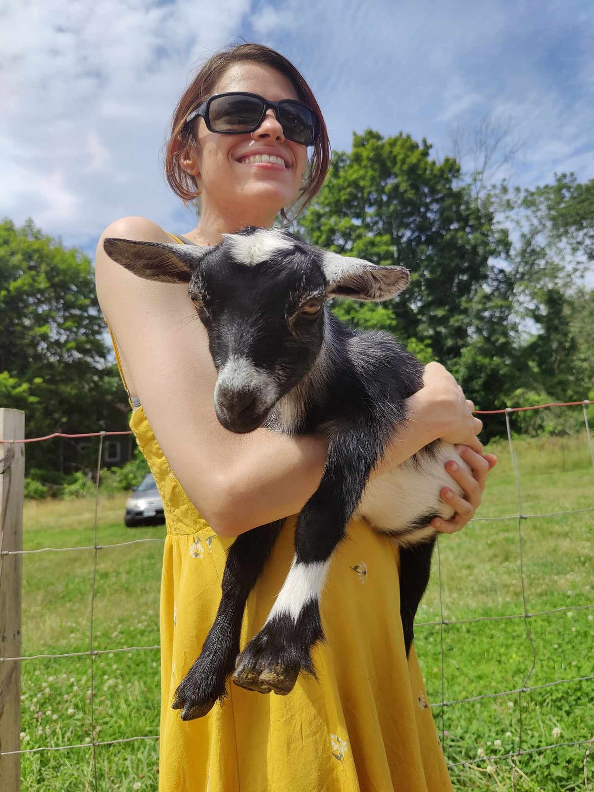 My First Time Hugging A Goat. It was not how I thought it would be | by ...