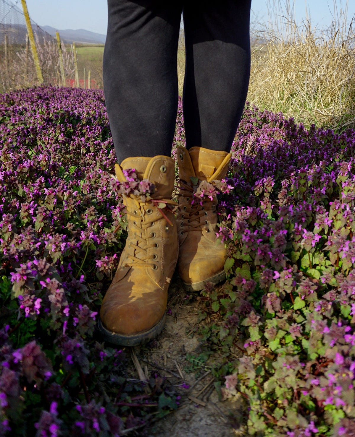 Tired and Breathing. An essay about simplicity and bliss. | by Harvy Lu ...