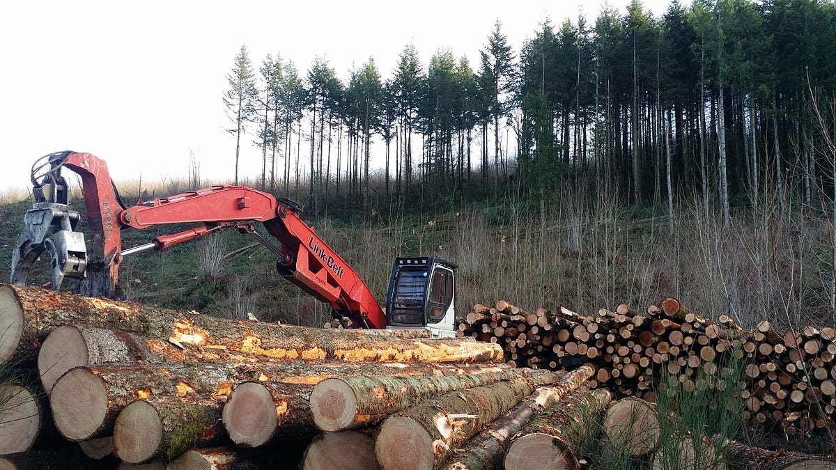 (Semi-)correct handling of log rotation in multiprocess Python ...