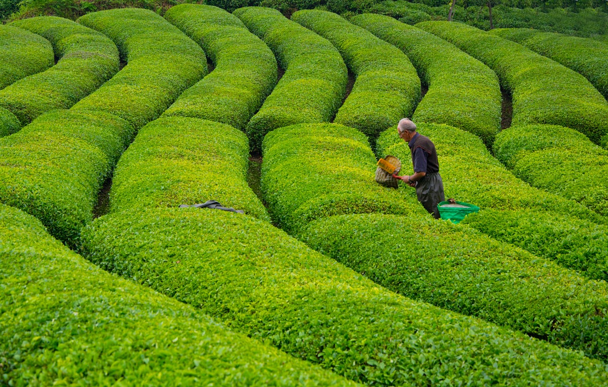 Learning Higher-Order Components in React by Building a Loading Screen ...