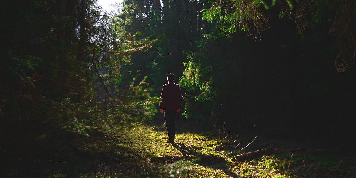 Your Mind, the Tangled Forest. The next time you meditate, imagine if ...