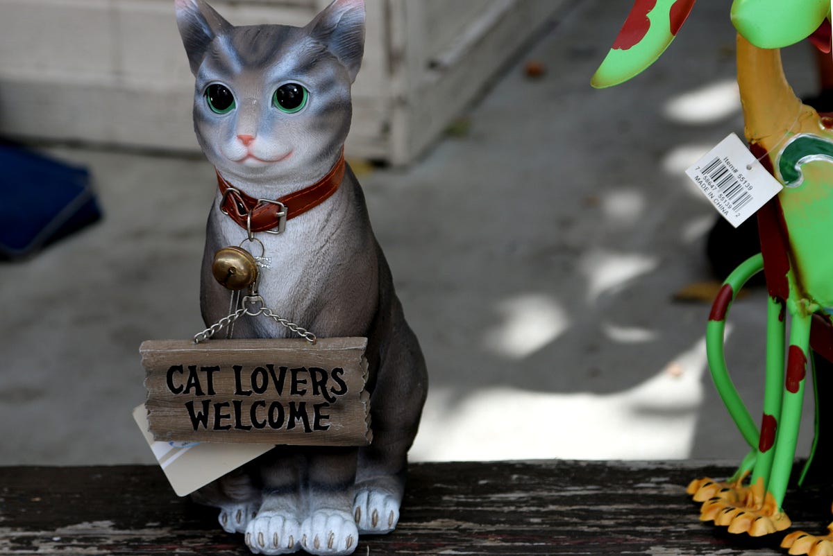 Tribute To All Ailurophiles! - Catness - Medium