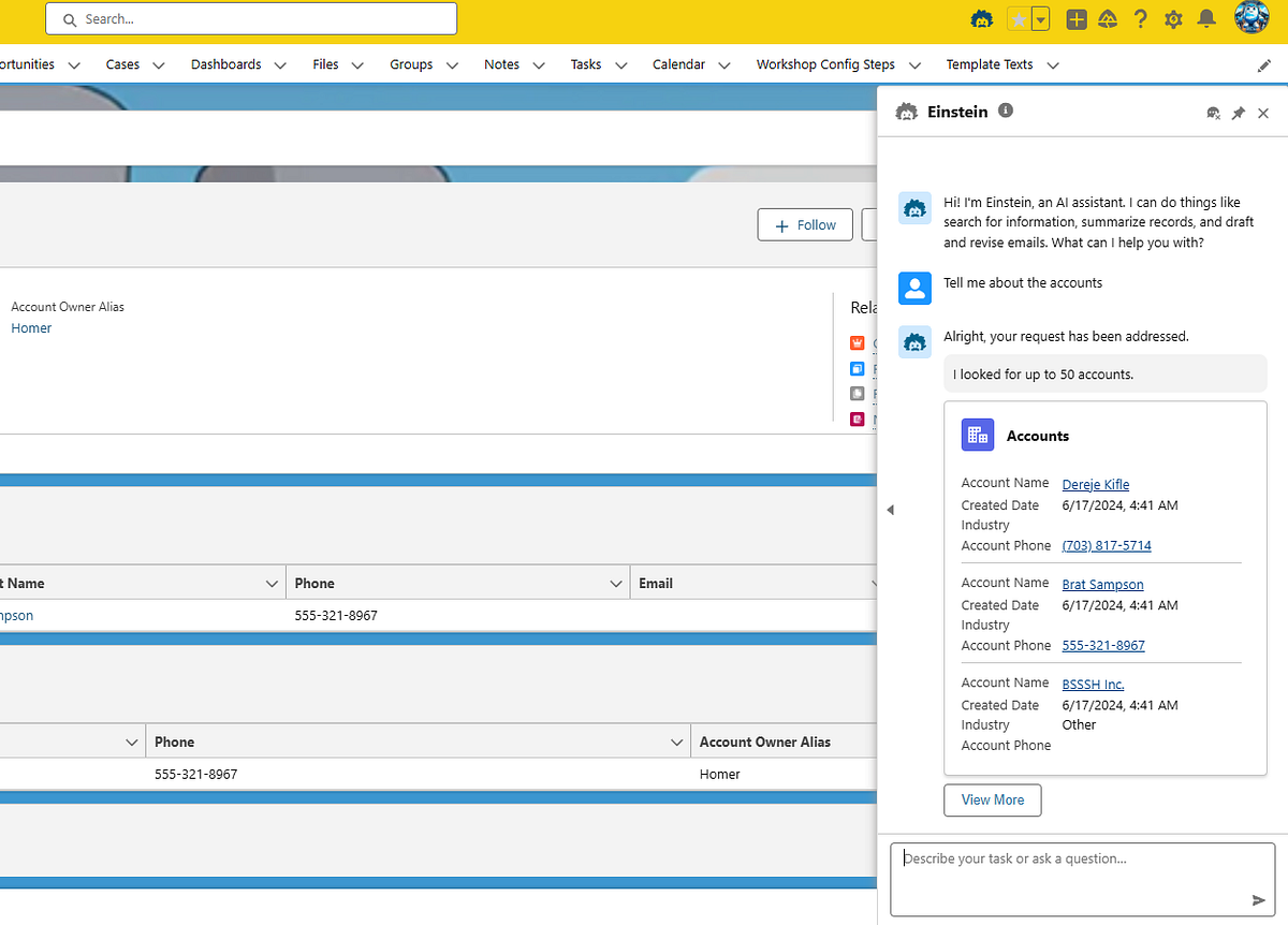 Hands on with Salesforce’s Einstein Copilot | by Ross Helenius | Medium