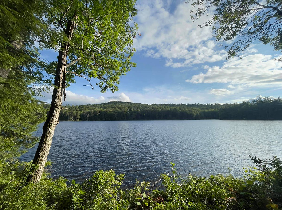 Dusk at Knight’s Pond | by Scott Sanders | Grace Among Us | Medium
