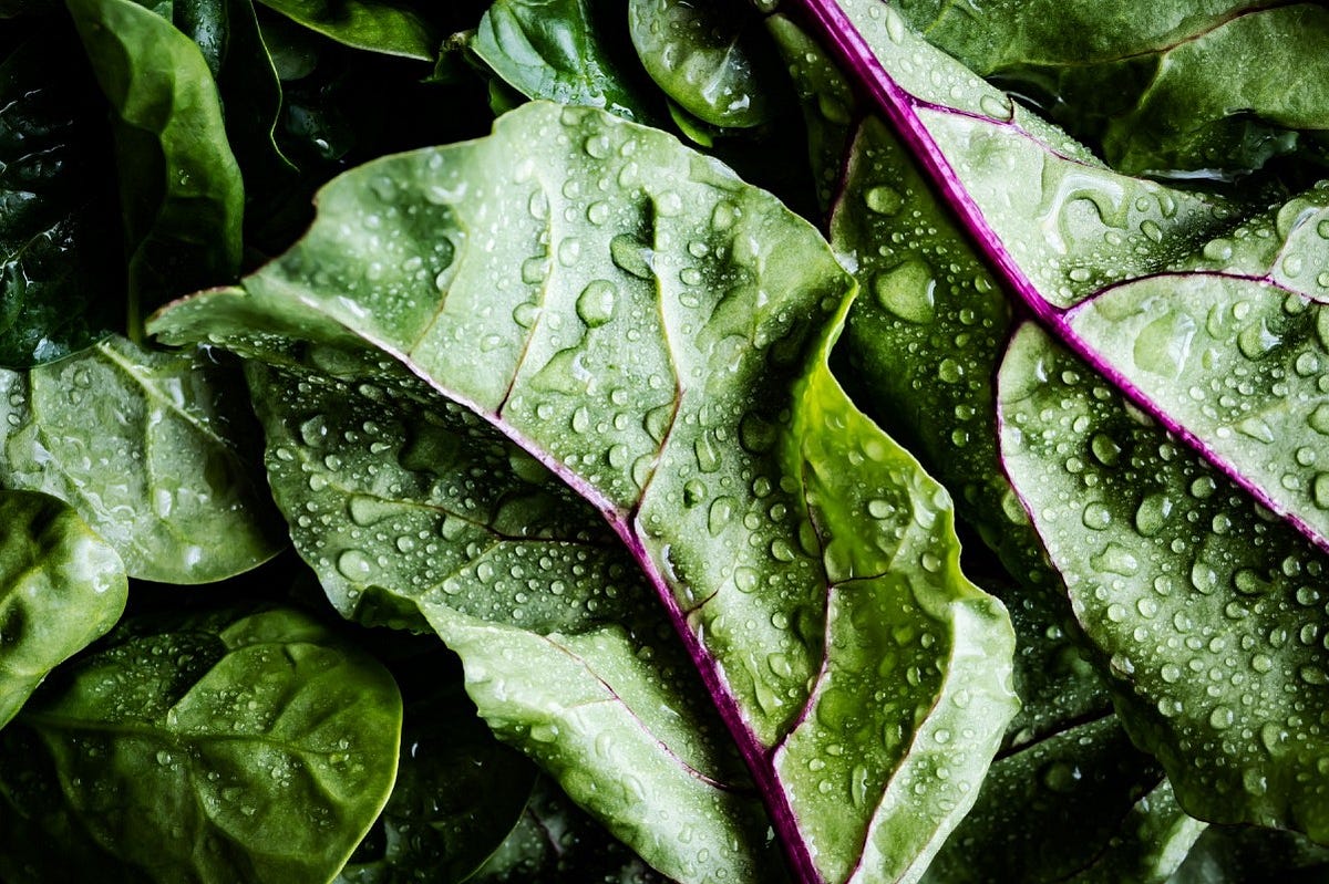 Fresh-cut industry: production, manufacturing and all the products | by ...