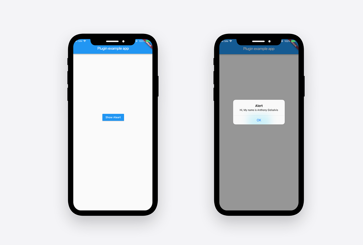 Creating a Flutter Plugin | Dialog Box | by Ashish Rawat | Flutter Community | Medium