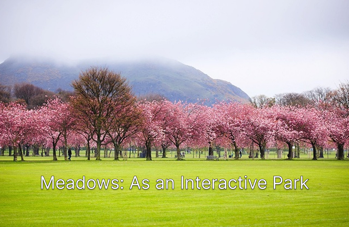 Meadows- As an Interactive Park. Project Overview Location: The Meadows ...