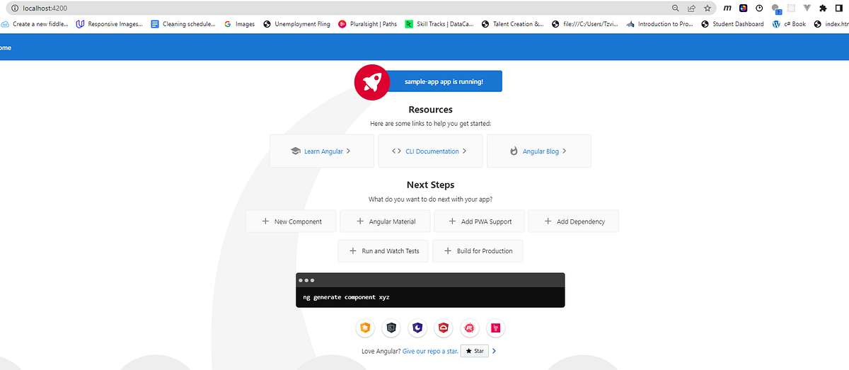 Launch Angular app - Tzvi - Medium