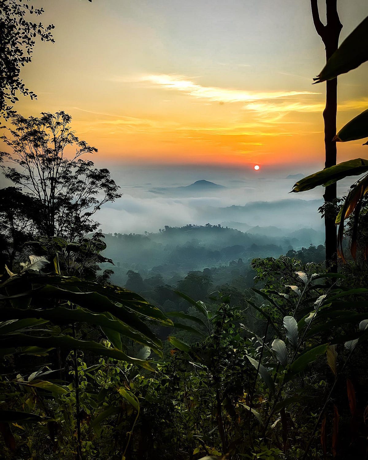 Explore the beauty of Wayanad with Utopia tent stay - tent stay in ...