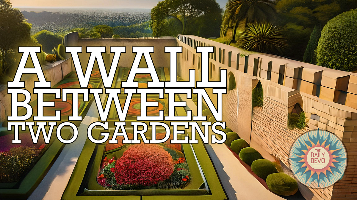 A Wall Between Two Gardens. I’m feeling sad today for a lot of… | by ...