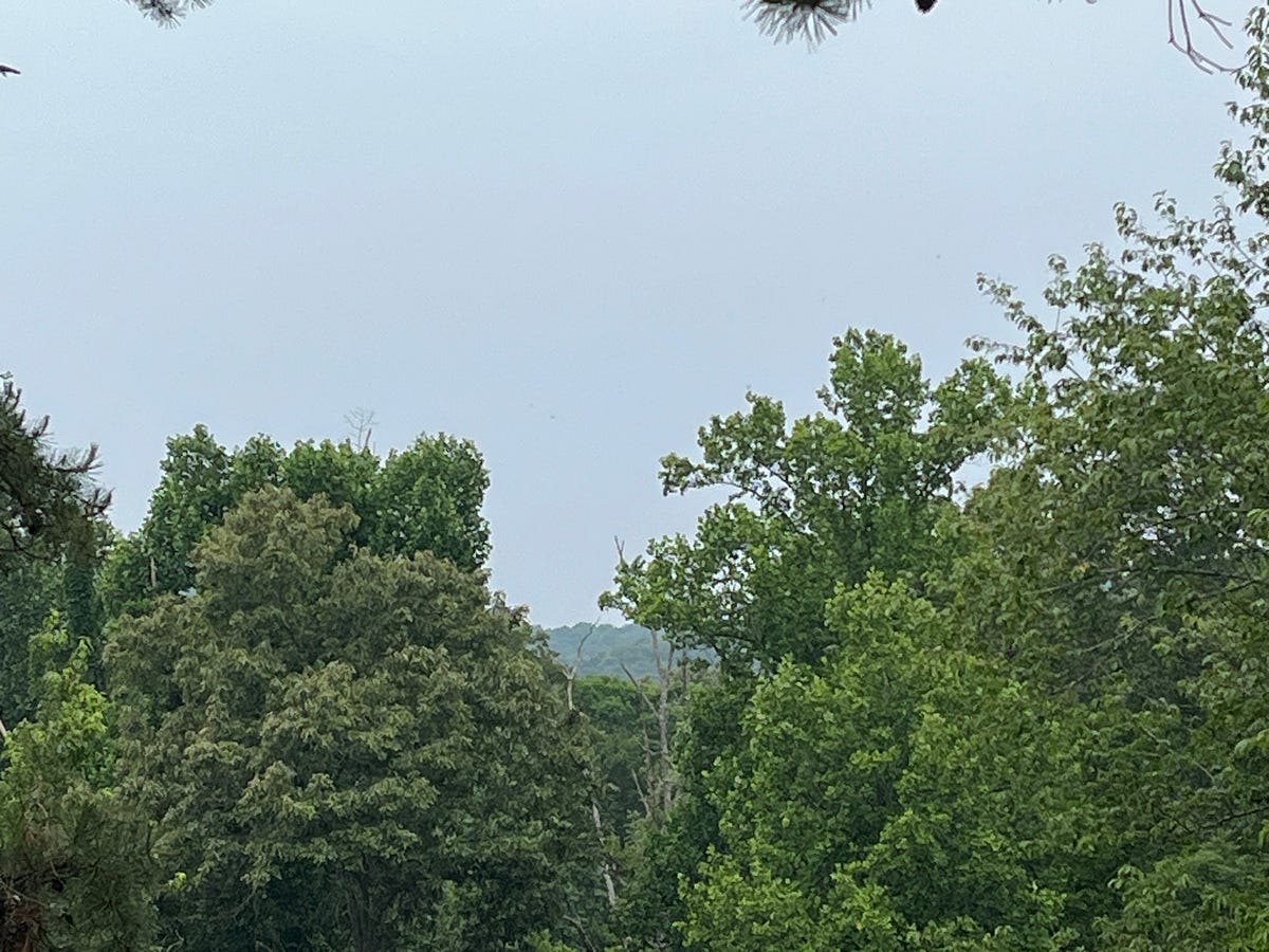 Air quality down - Jeffrey Bird - Medium
