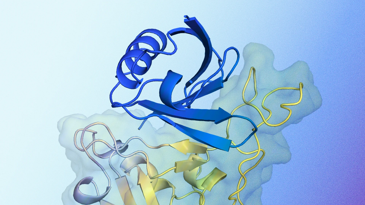AlphaProteo: AI-Driven Protein Design Innovation | by Baking AI - AI ...