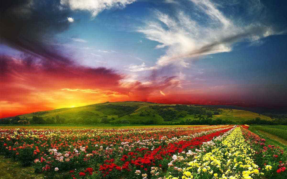 How to Make the Most of Your Career | by umair haque | eudaimonia | Medium