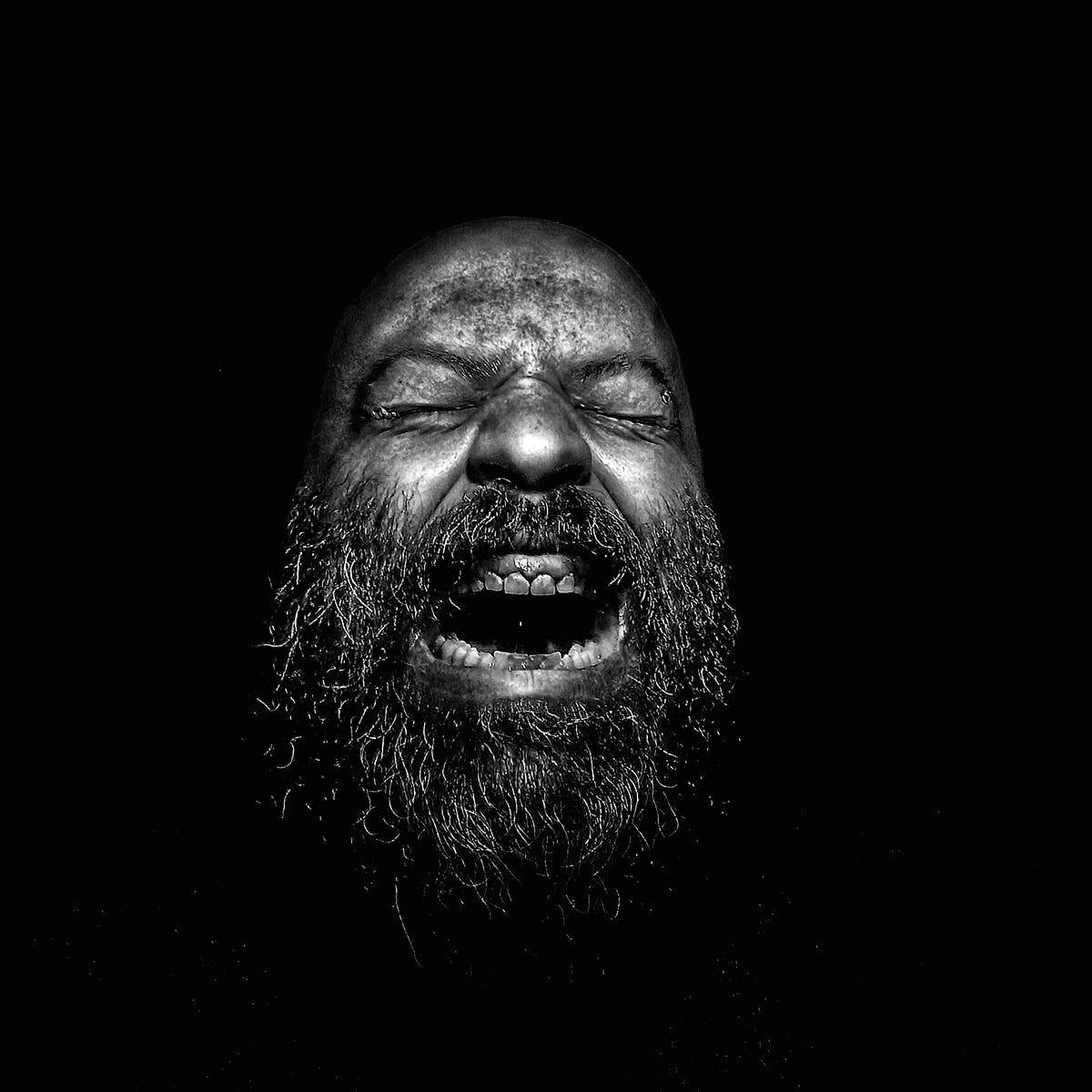 Scratch/Itch/Scream - The Brain is a Noodle - Medium