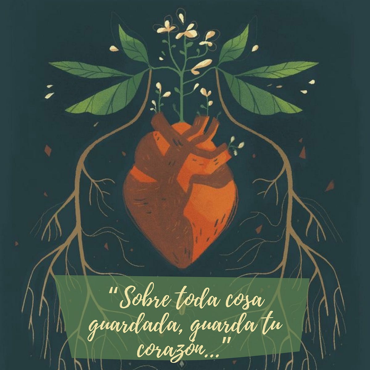 ¿Por qué es tan importante guardar el corazón? | by Gracia Abundante ...