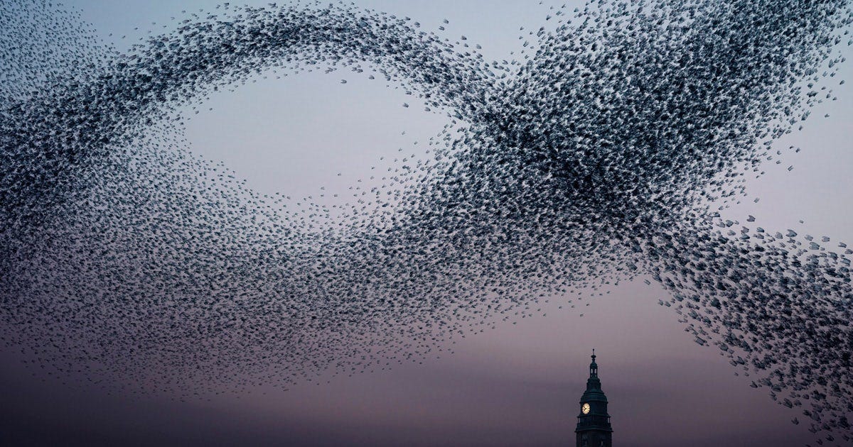 Decentralization and Ecosystems. Web3 as the instinctive pursuit of ...